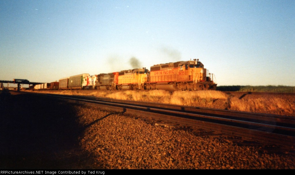 UP 3633, UP 876, SP 8068 & AAR 2000